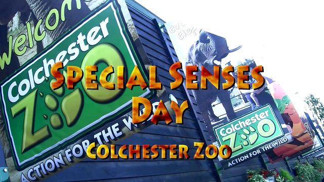 Special Senses Day 2015 | Inclusive Communication Essex